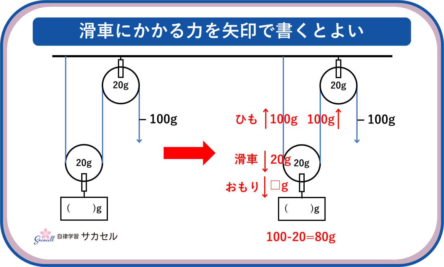 SAPIX6年7月復習テストで押さえるべきポイント―理科編｜自律学習サカセル
